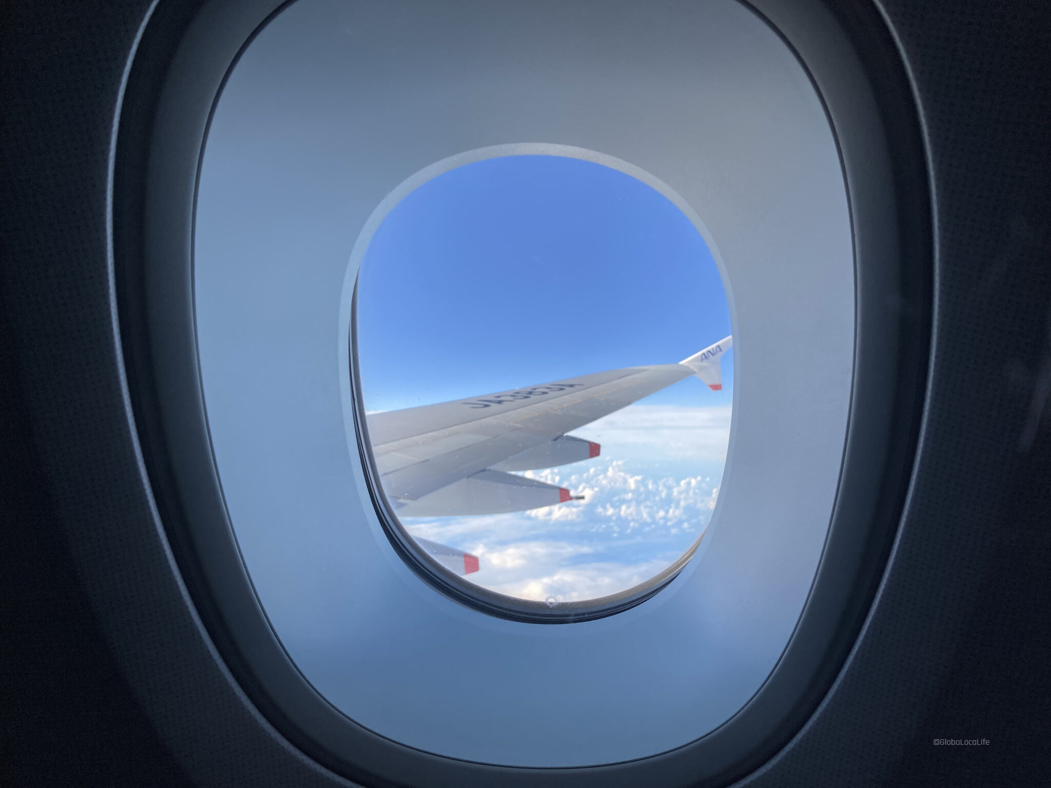 全日空ANA プレミアムエコノミークラス搭乗記 東京（成田）~ホノルル／ NH182 - フライングホヌ搭乗記